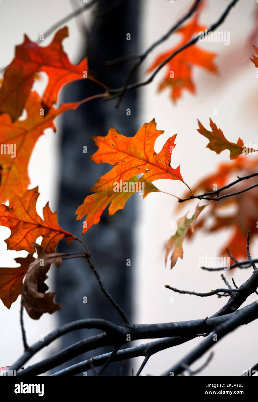 English seasons hi-res stock photography and images - Alamy