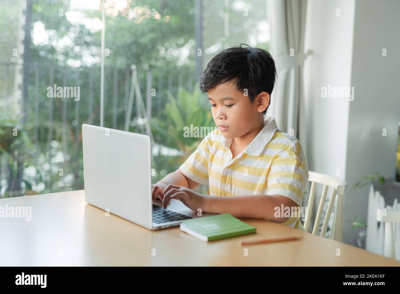 Homeschooling and distance education for kids Stock Photo - Alamy