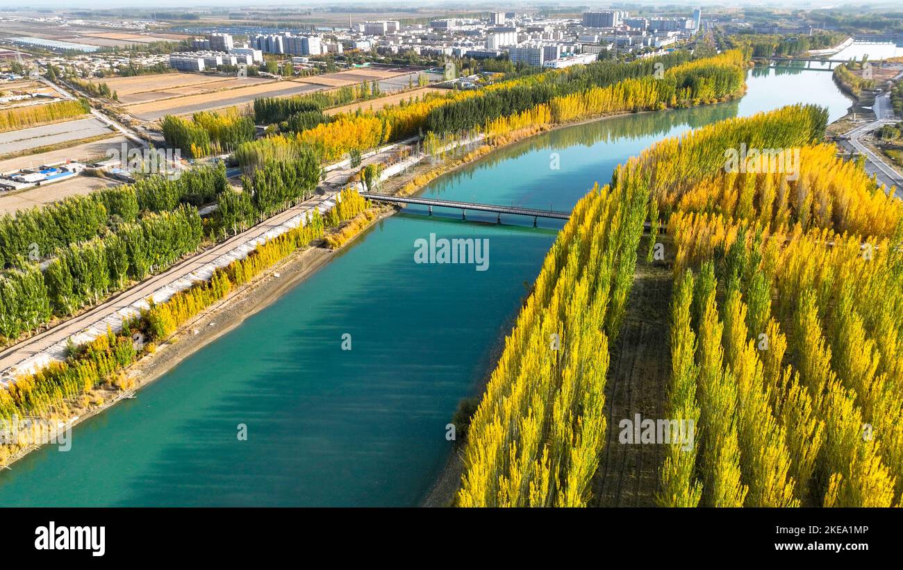 Aerial photos show the autumn scenery by Kaidu River, Bohu County ...