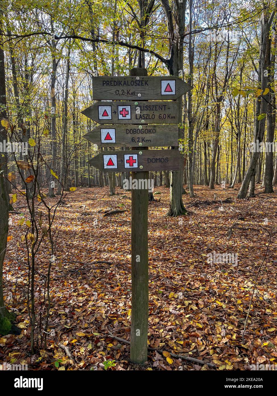 Hiking tourist road sign ina beautiful autumn forest Stock Photo - Alamy