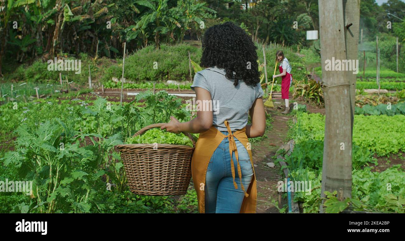 Group of people farming at small local urban farm agriculture. Friends ...