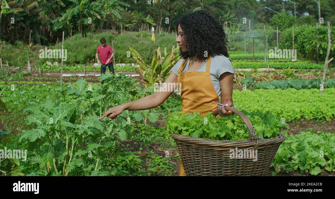 Group of people farming at small local urban farm agriculture. Friends ...