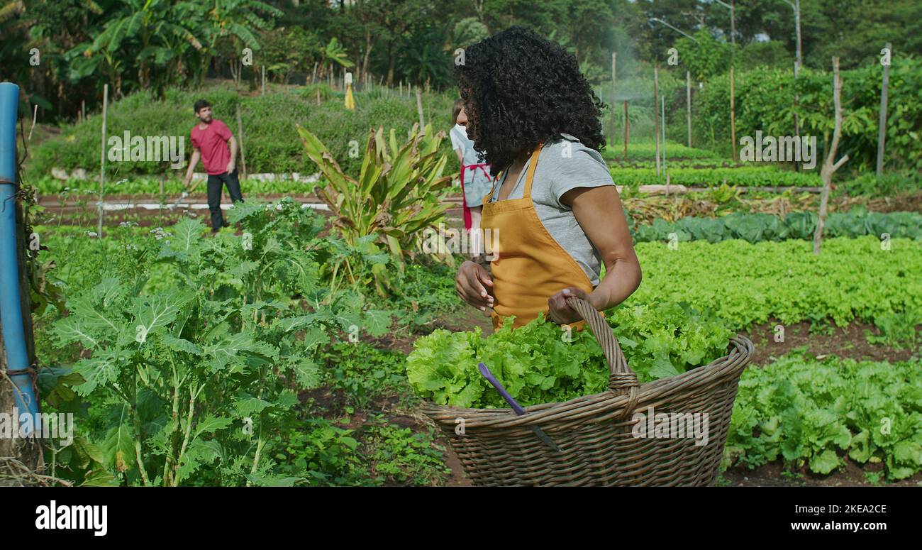 Group of people farming at small local urban farm agriculture. Friends ...