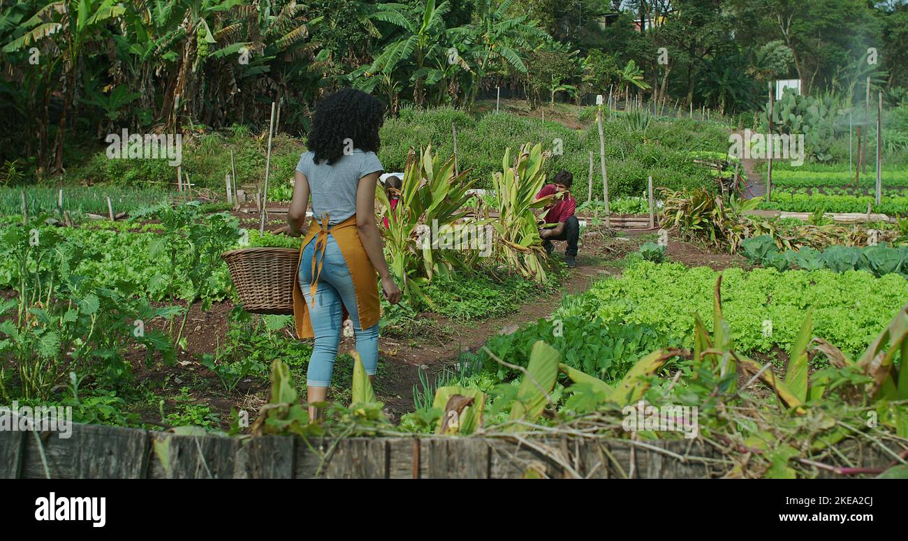 Group of people farming at small local urban farm agriculture. Friends ...