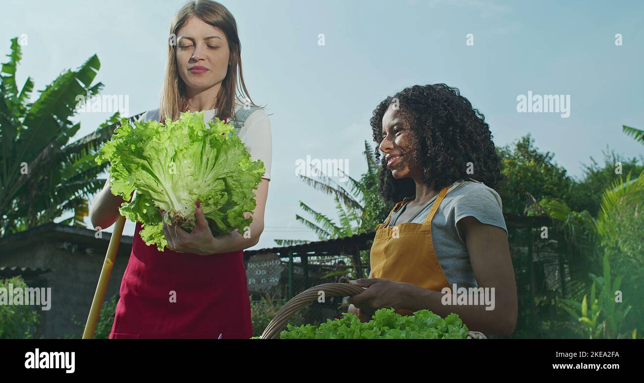 Two women standing at local community garden farm holding organic ...