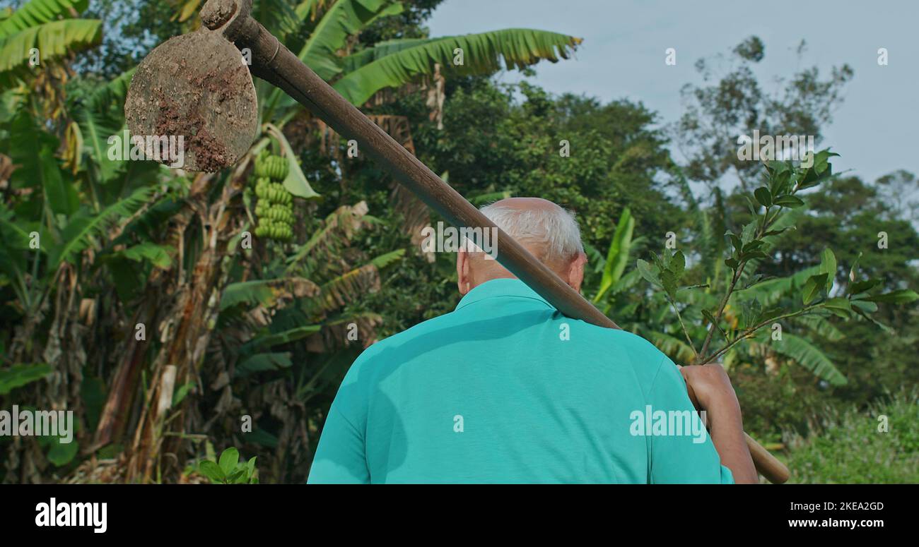 One older farmer walking outdoors with farming tool over his shoulder ...