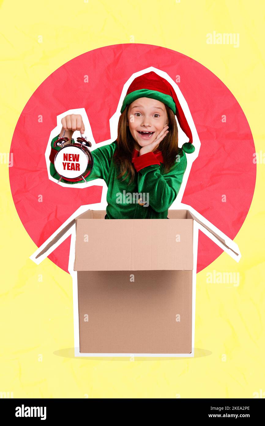 Creative photo 3d collage artwork poster postcard of funky fairy ...