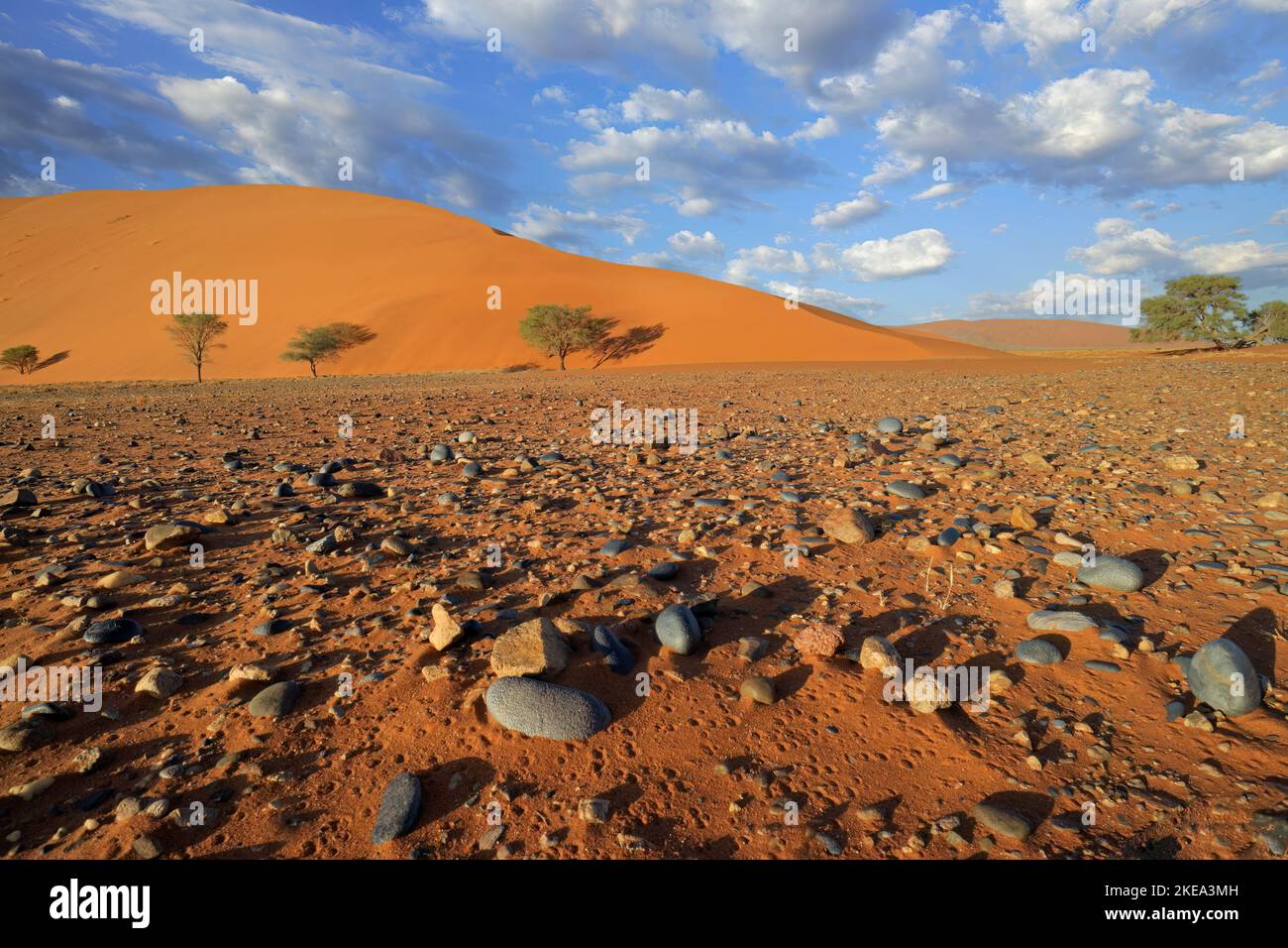 Barren plain with stone pebbles and red sand dune, Sossusvlei, Namib ...