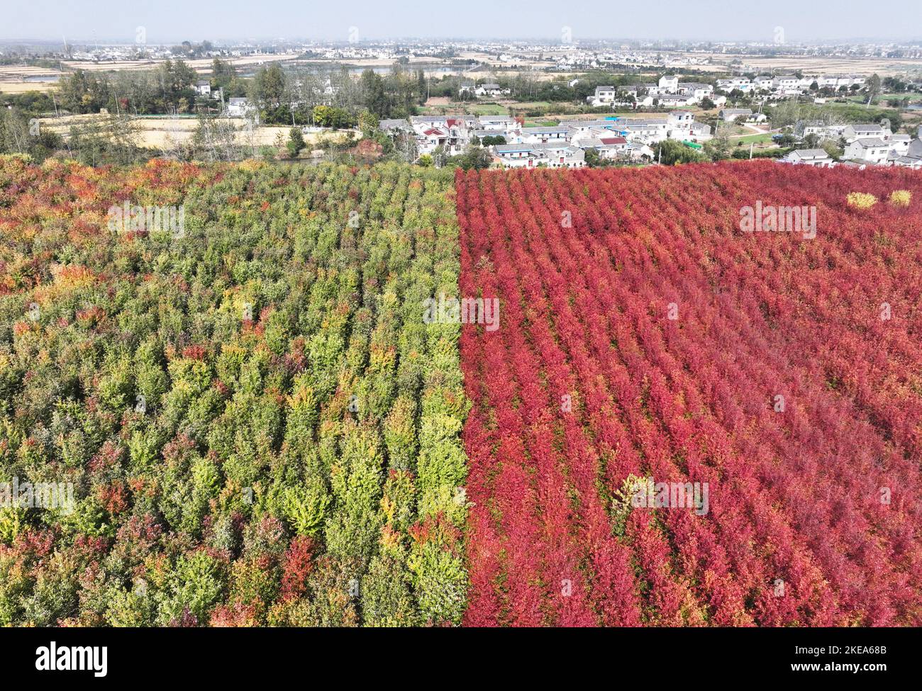 **CHINESE MAINLAND, HONG KONG, MACAU AND TAIWAN OUT** Aerial photos ...