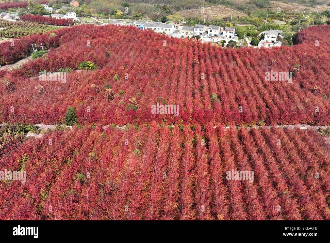 **CHINESE MAINLAND, HONG KONG, MACAU AND TAIWAN OUT** Aerial photos ...