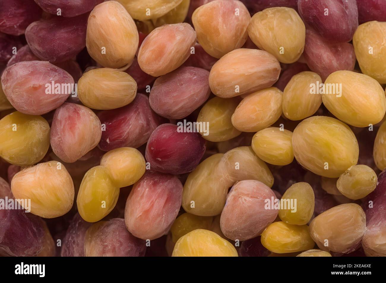 picture of dried grapes, raisins, healthy fruit snack Stock Photo - Alamy