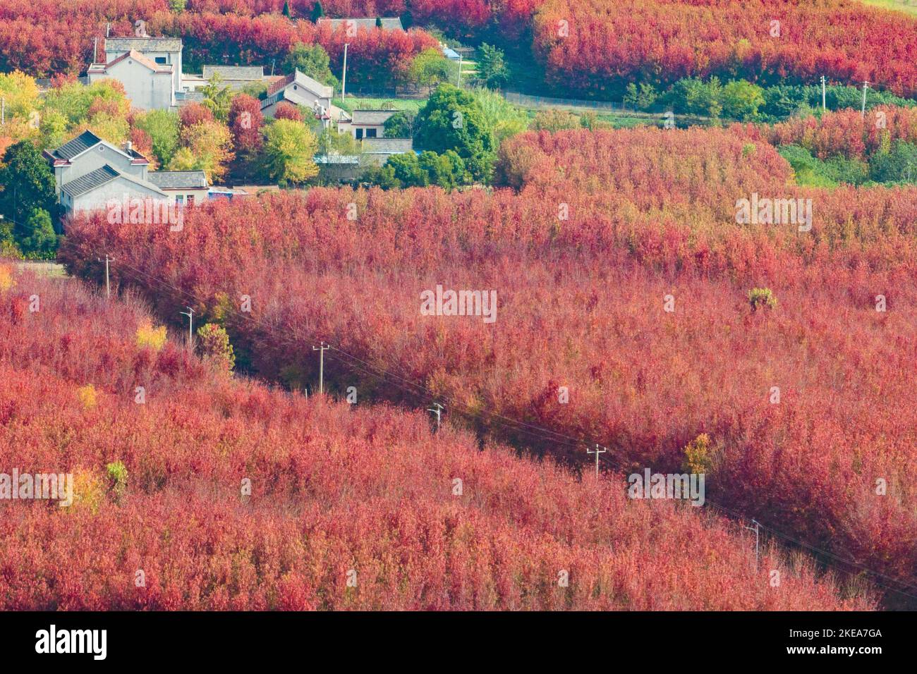 **CHINESE MAINLAND, HONG KONG, MACAU AND TAIWAN OUT** Aerial photos ...