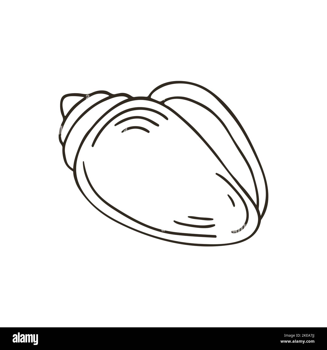 Drawing on the theme of the ocean. Illustration in hand draw style ...