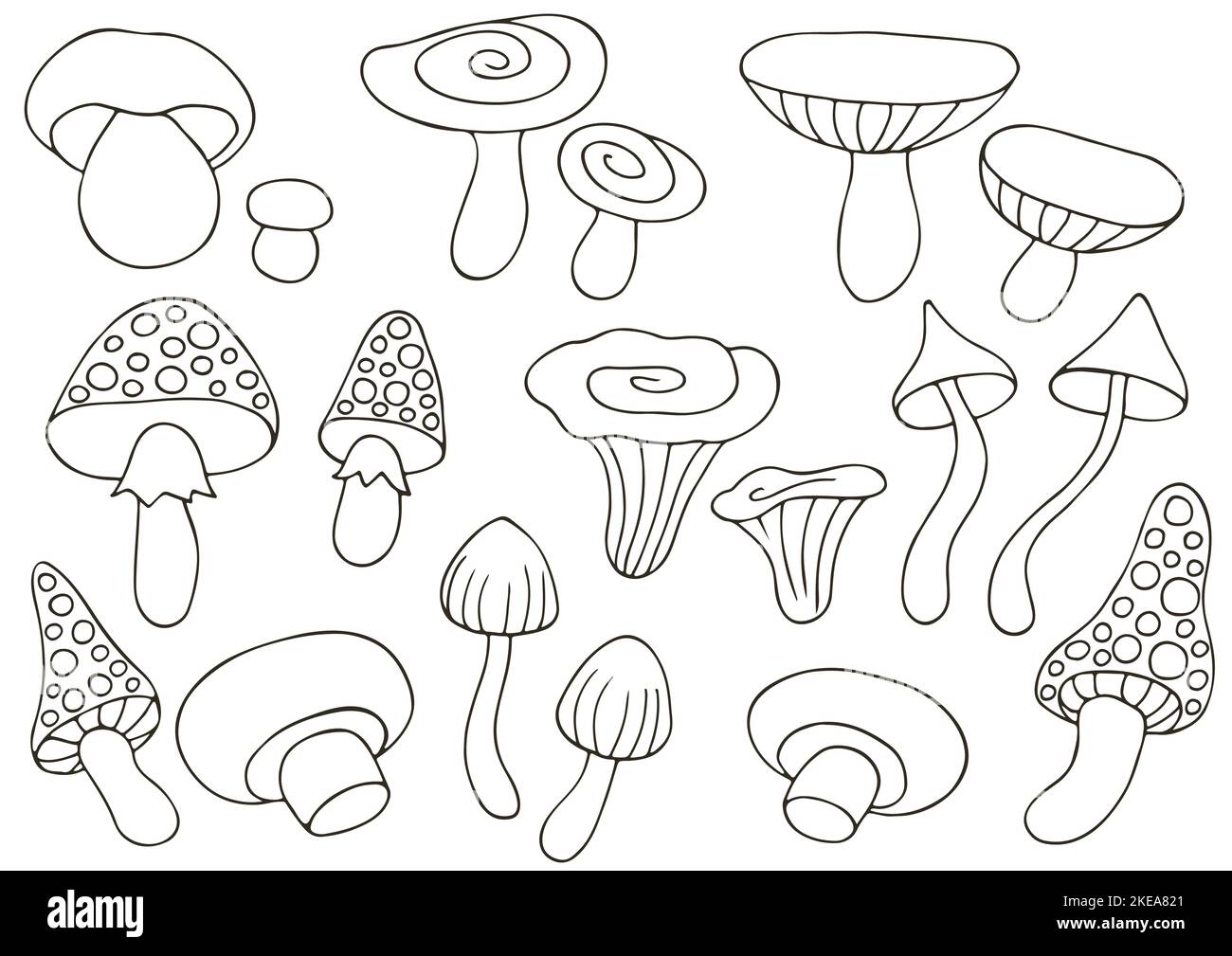 Set of vector illustrations in hand drawn style. Monochrome poster with ...