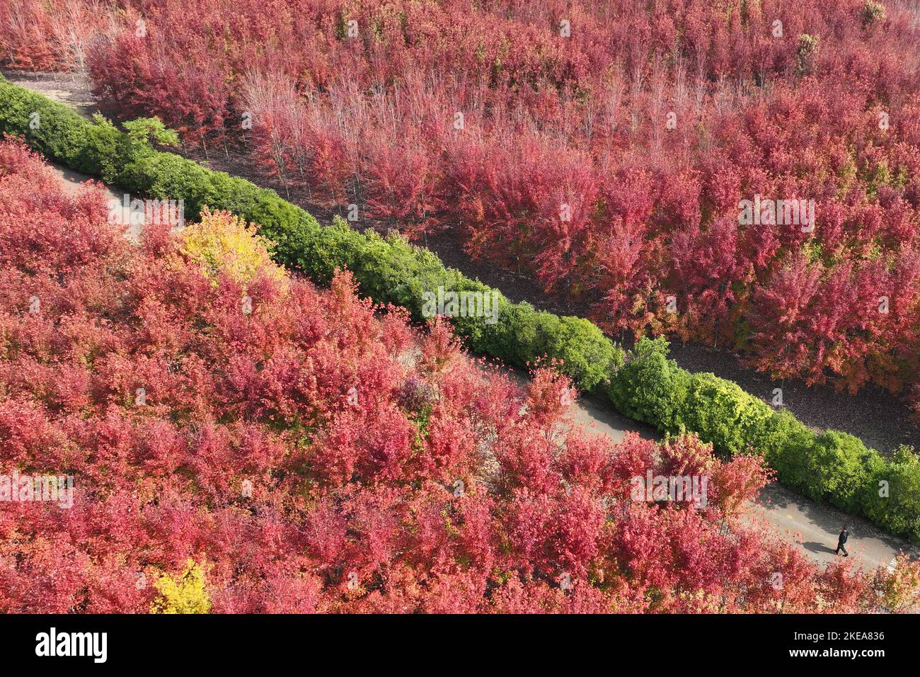 **CHINESE MAINLAND, HONG KONG, MACAU AND TAIWAN OUT** Aerial photos ...