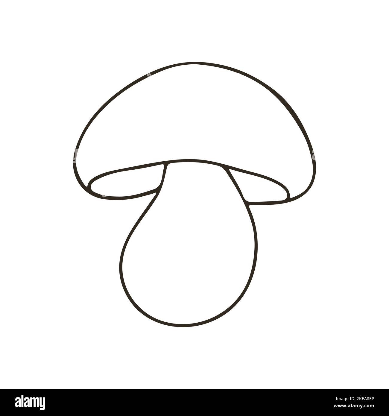 Polish mushrooms. Autumn illustration in hand drawn style. Coloring ...