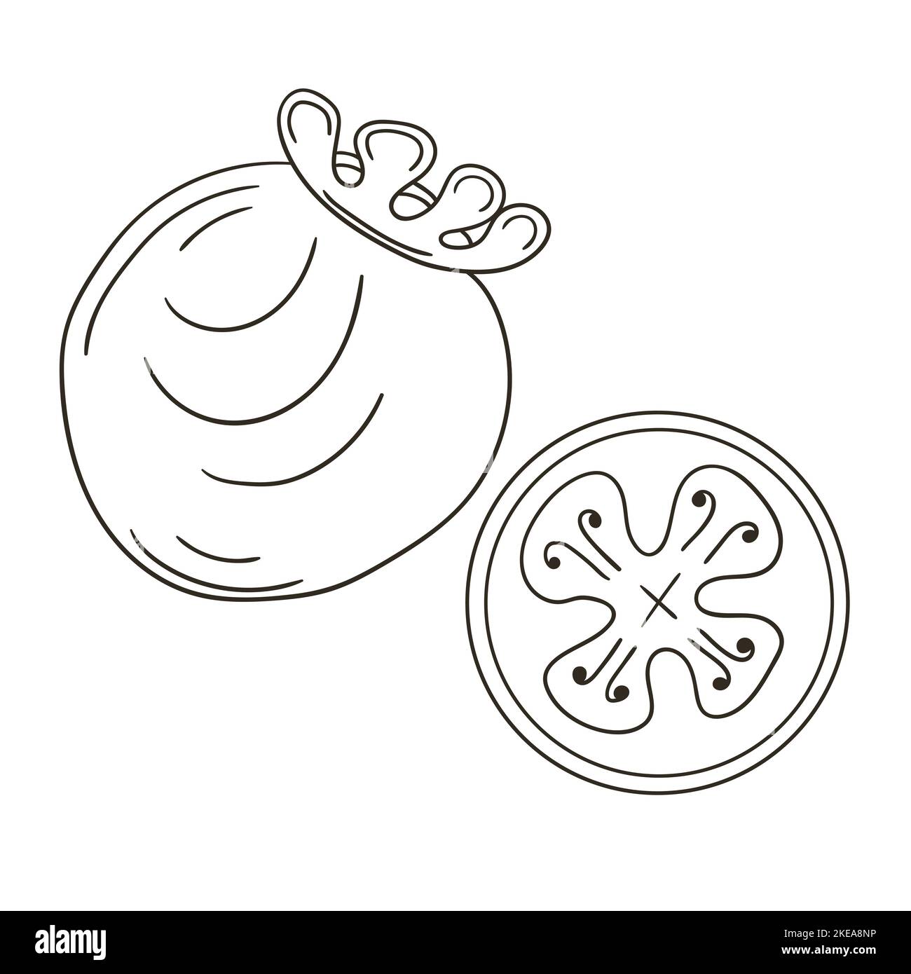 Feijoa. Set of vector illustrations in hand drawn style. Coloring ...