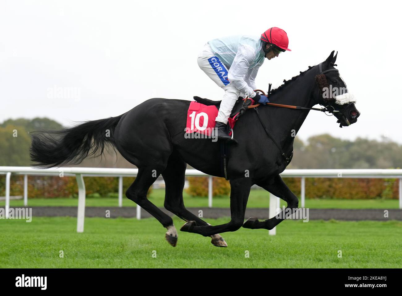 Glajou hi-res stock photography and images - Alamy