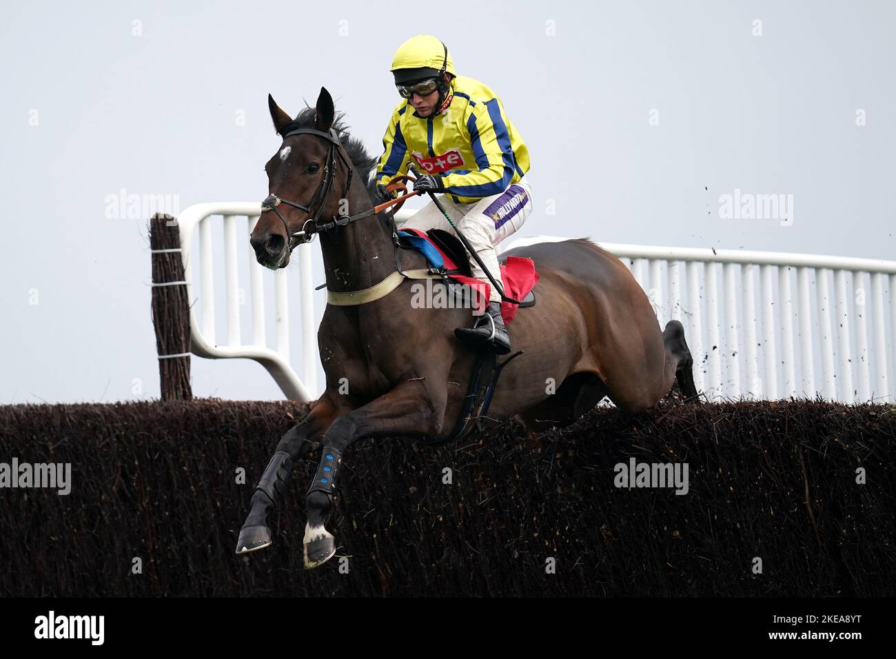 Haddex des obeaux racecourse hi-res stock photography and images - Alamy