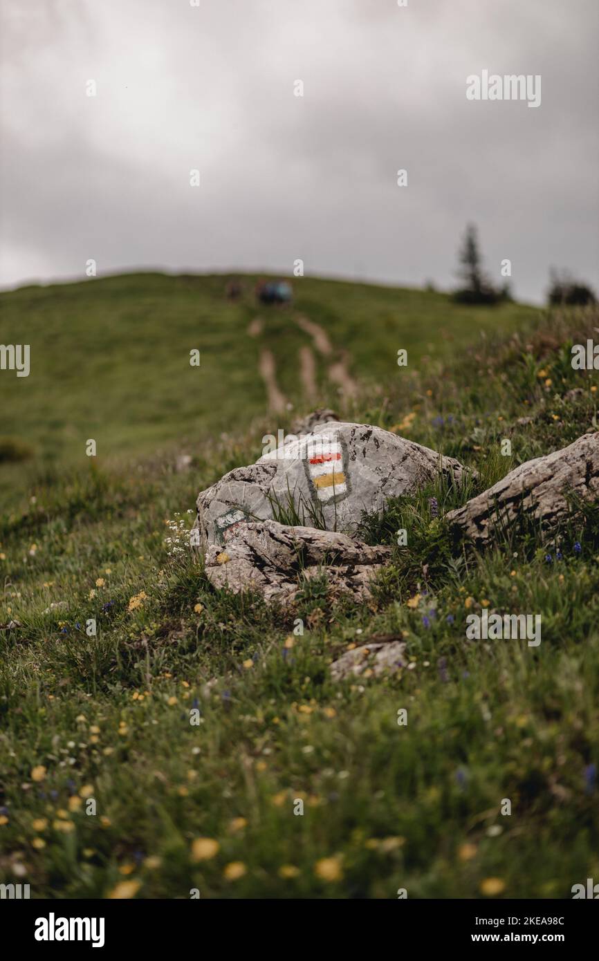 A vertical shot of trail signs on a stone on the green hill Stock Photo ...