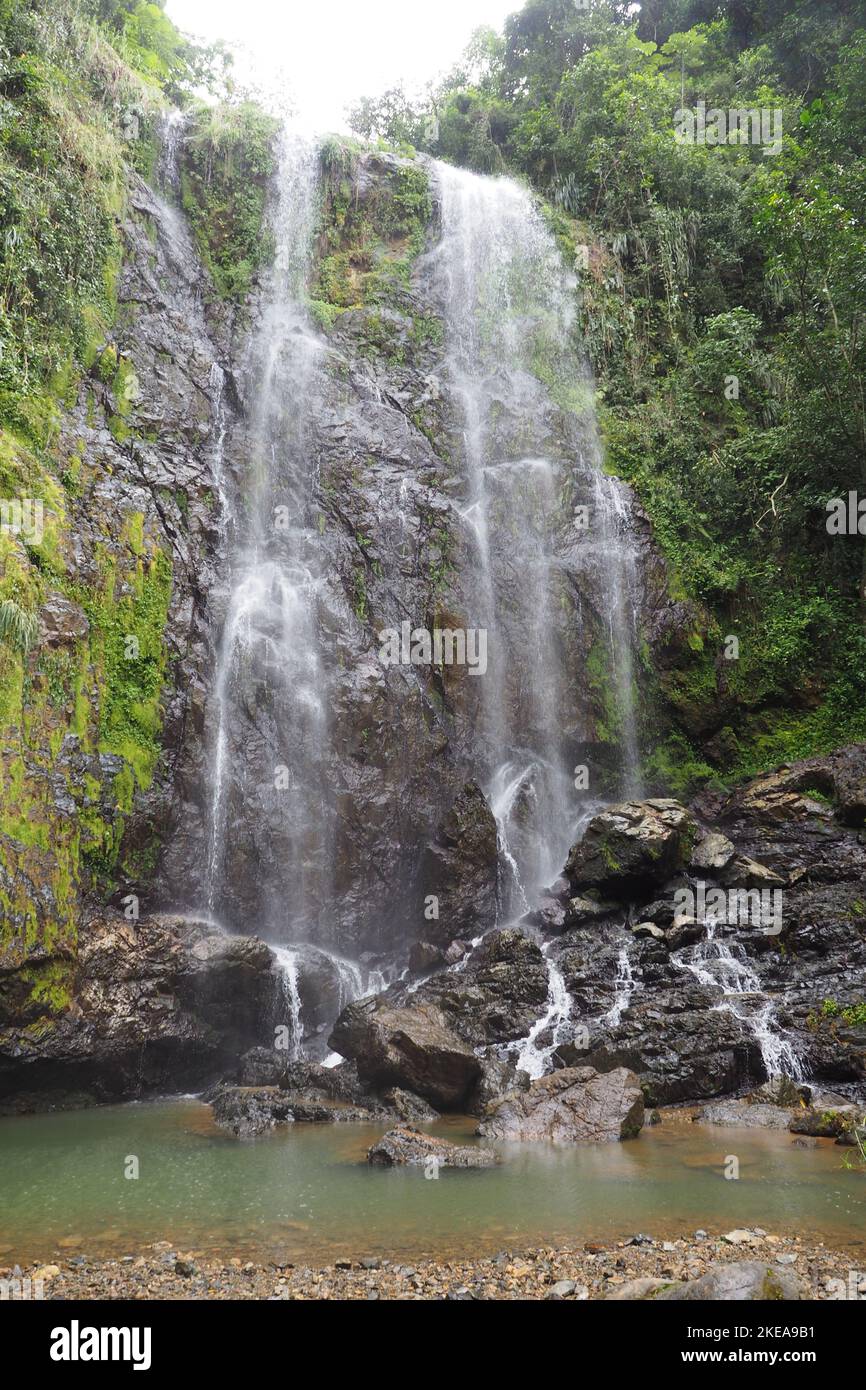 A vertical shot of a waterfall in Puerto Rico Stock Photo - Alamy