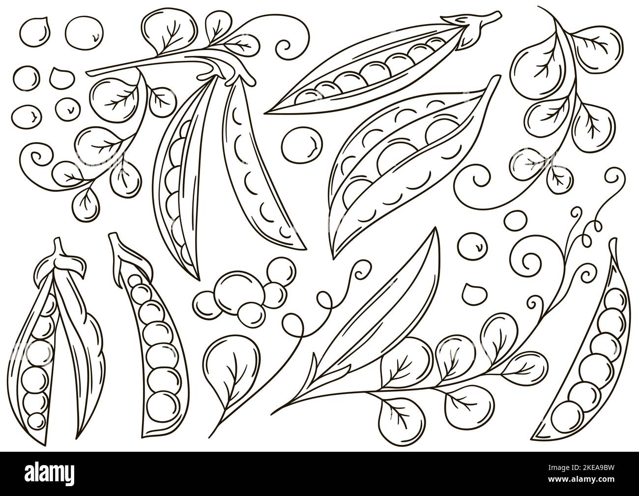 Peas. Set of vector illustrations in hand drawn style. Coloring poster ...