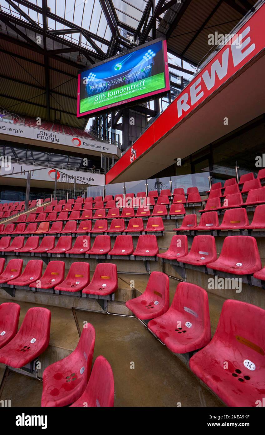 Rheinenergiestadion cologne stadium hi-res stock photography and images ...