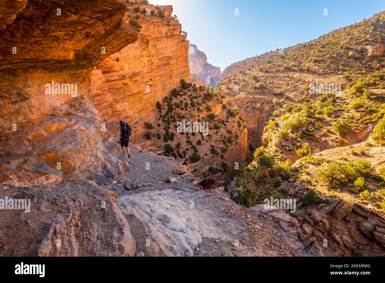 A trekker on a man made stairway up the canyon side of the M'Goun Gorge ...