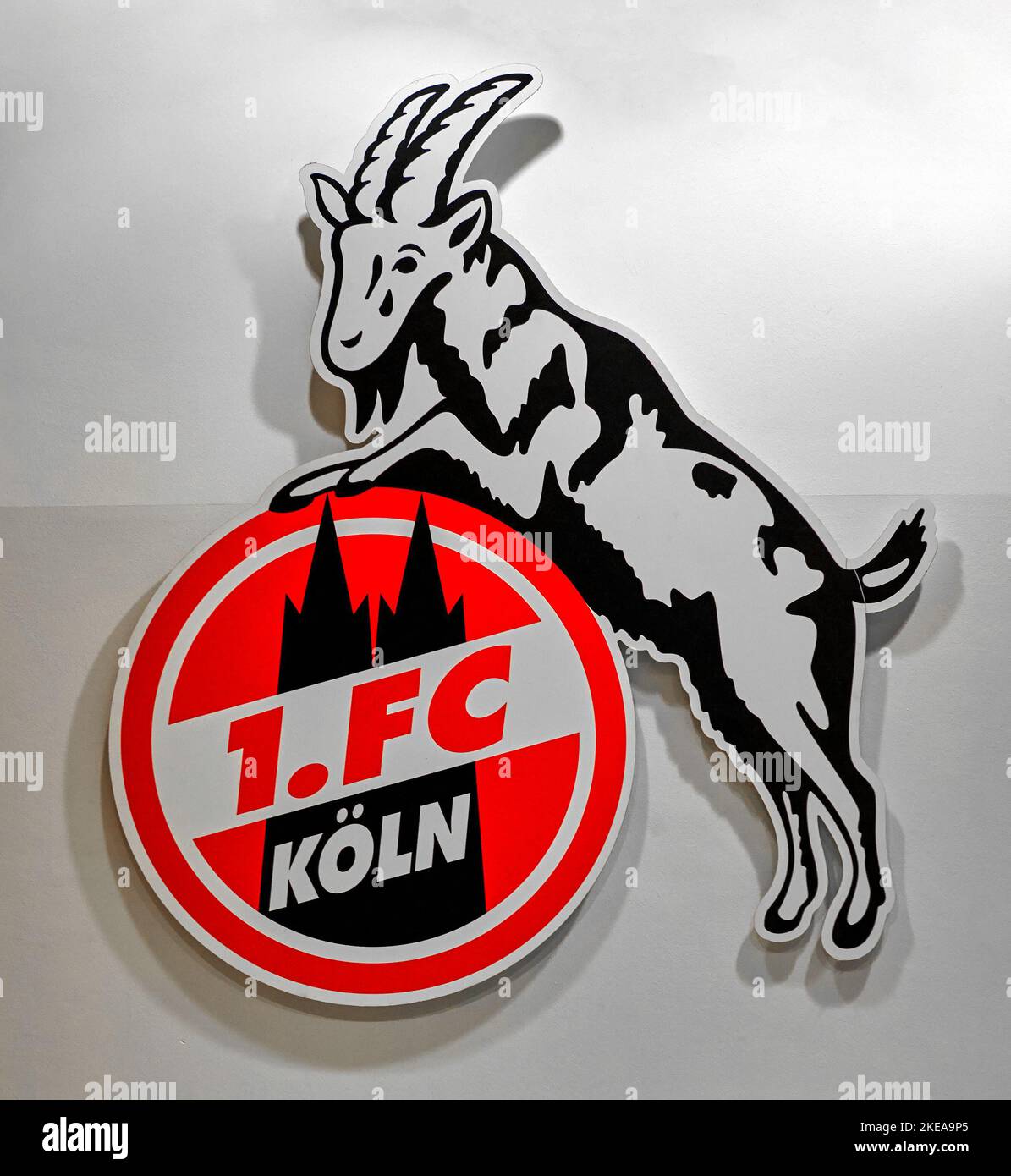 Visiting RheinEnergieStadion - the official playground of FC Koln ...