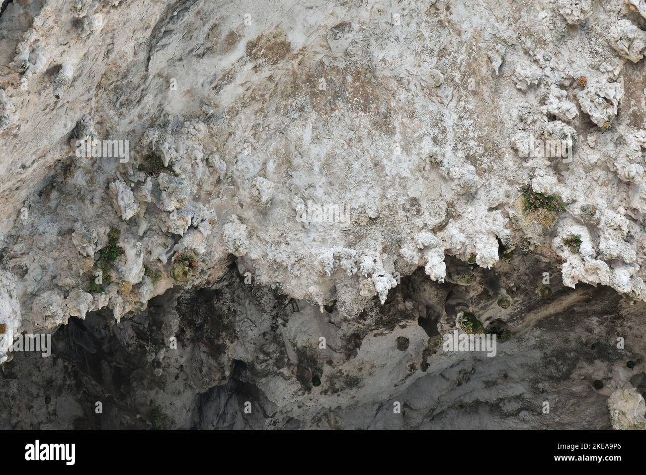Land of richman hi-res stock photography and images - Alamy