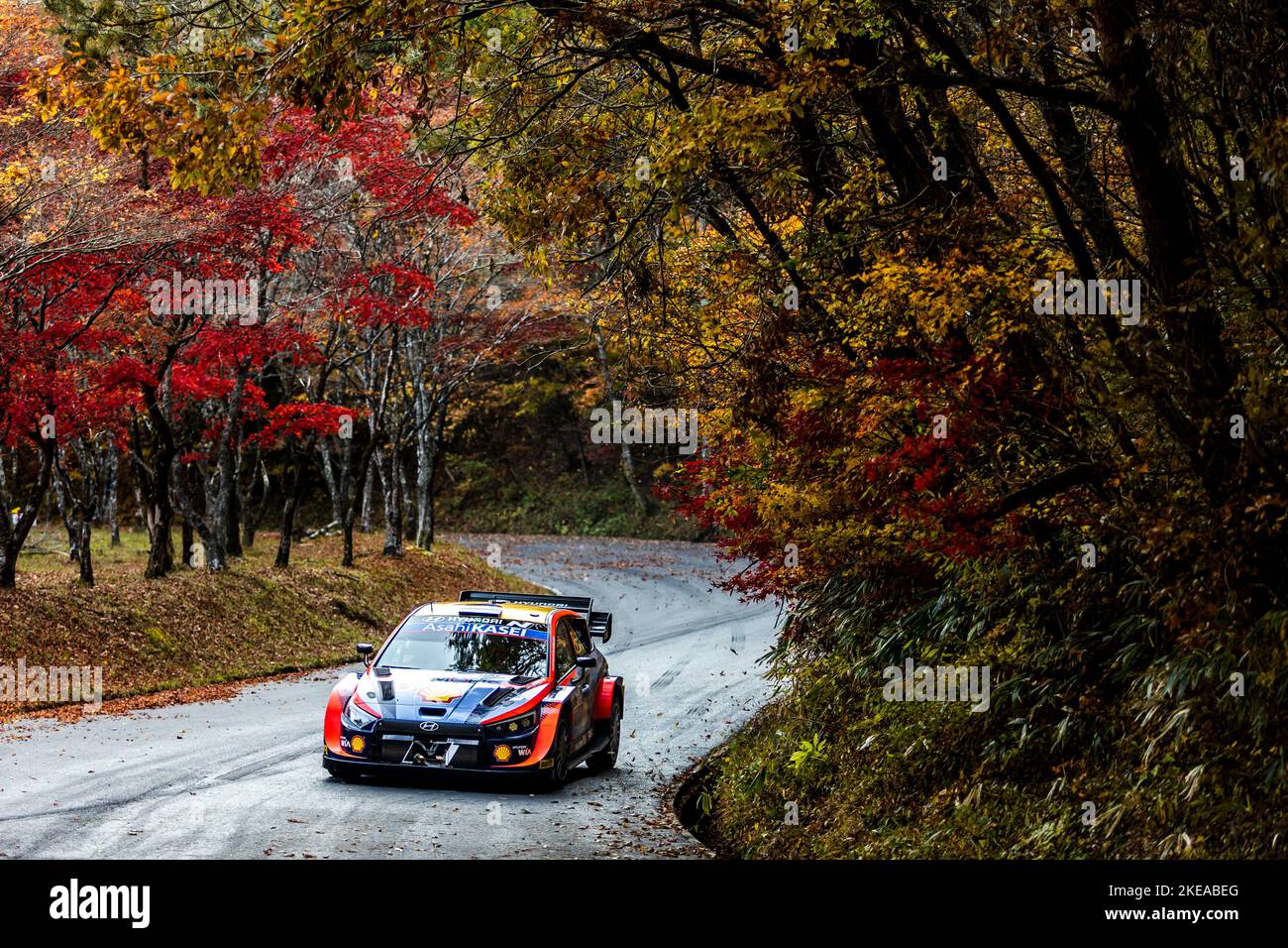 Nagoya, Japan - 11/11/2022, 08 TANAK Ott (est), JARVEOJA Martin (est ...