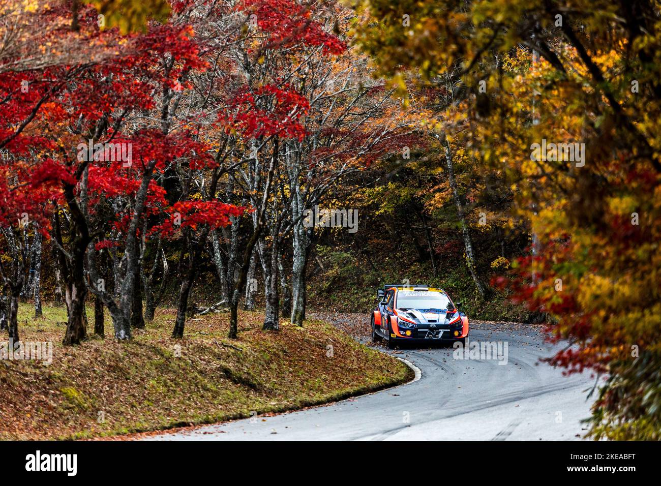 Nagoya, Japan - 11/11/2022, 08 TANAK Ott (est), JARVEOJA Martin (est ...