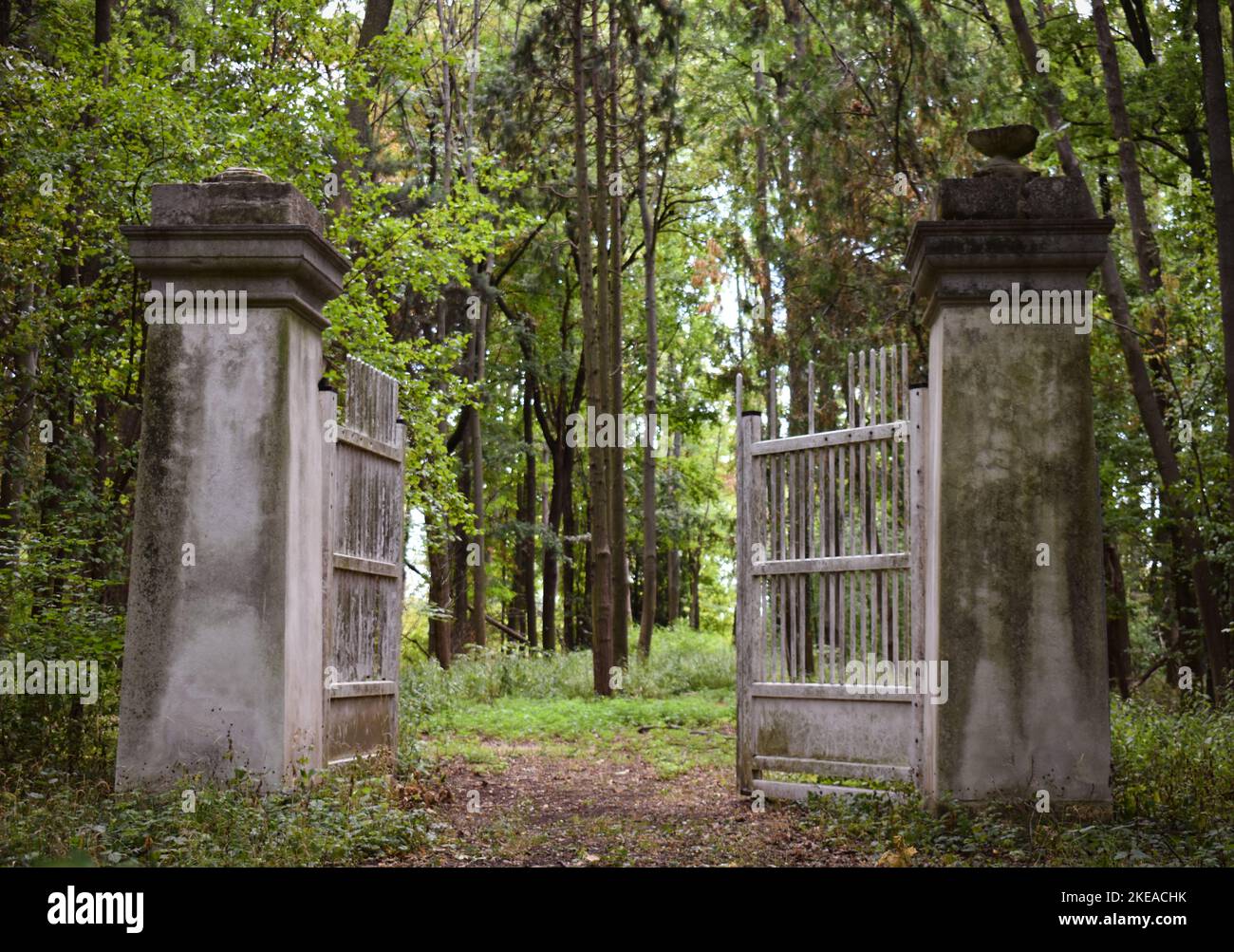 An old gate in the middle of the forest Stock Photo - Alamy