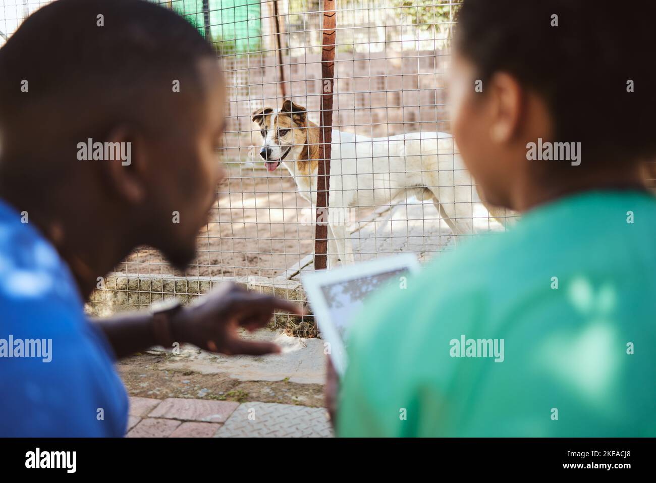 Helping animals hi-res stock photography and images - Alamy