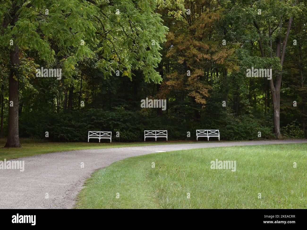 Three white benches at the base of the trees Stock Photo - Alamy