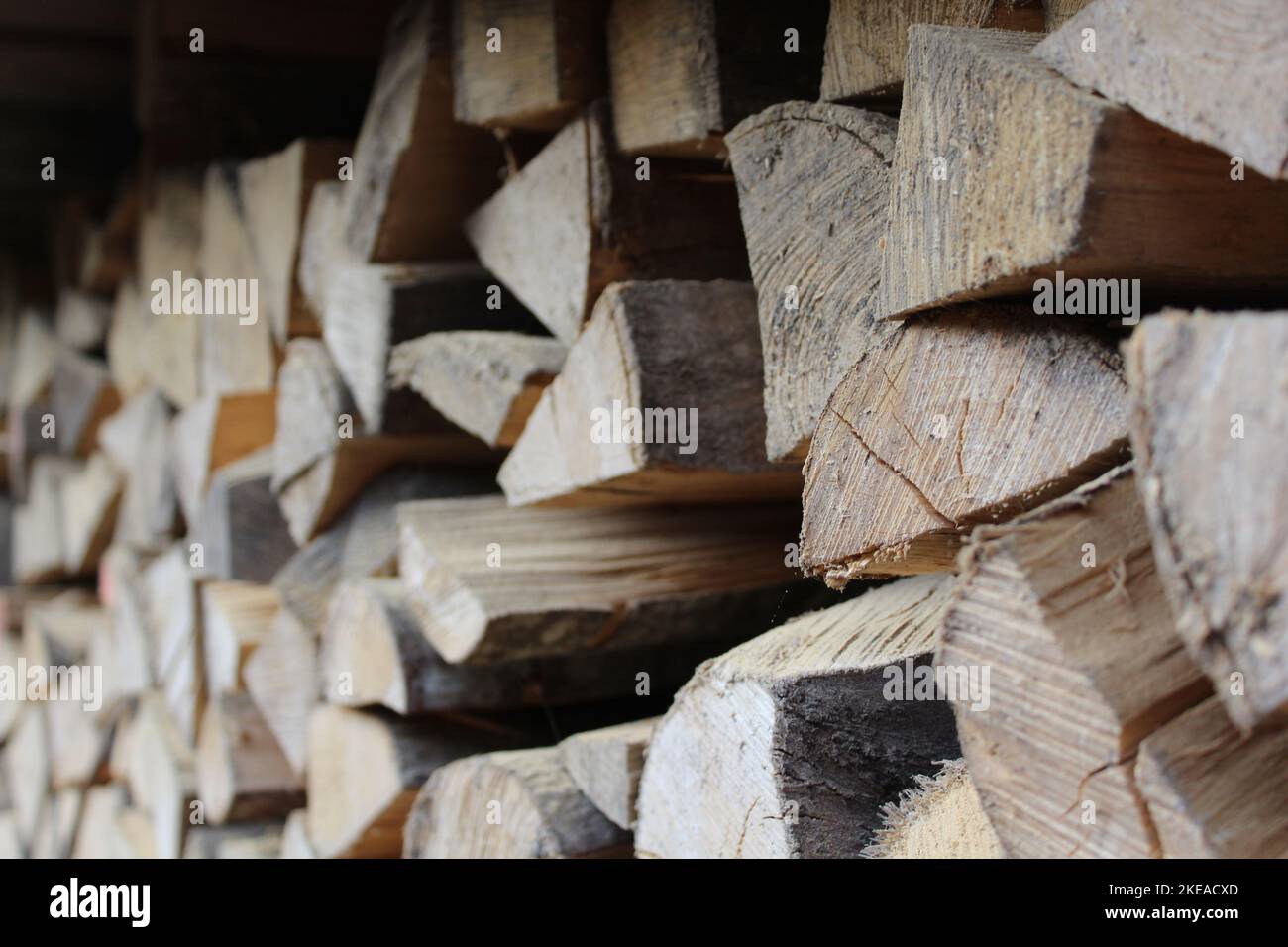 Wood in the forest and for making fire Stock Photo - Alamy