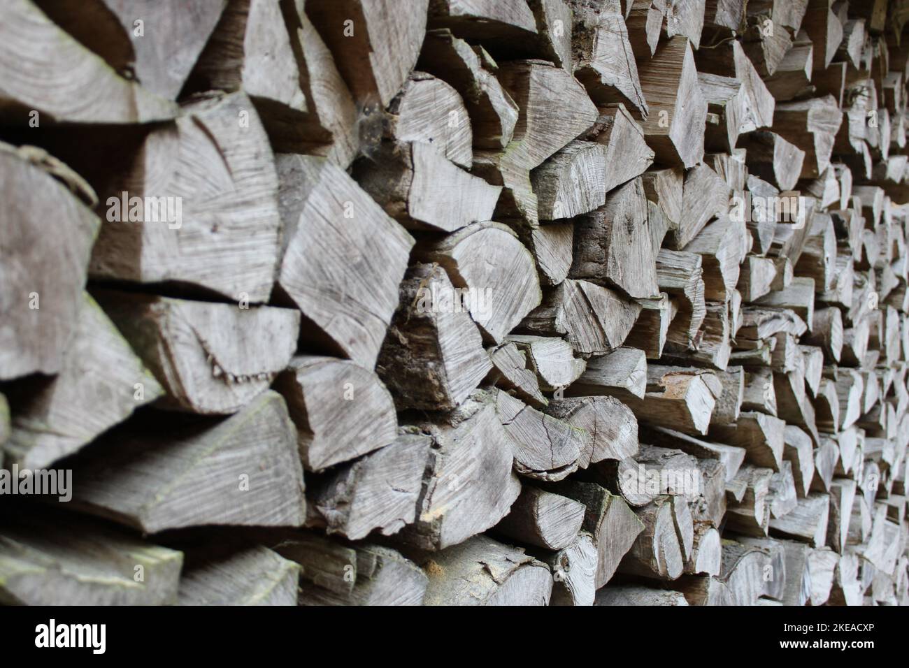 Wood in the forest and for making fire Stock Photo - Alamy