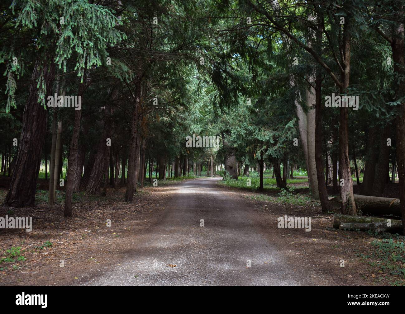 Walk way through the plant hi-res stock photography and images - Alamy