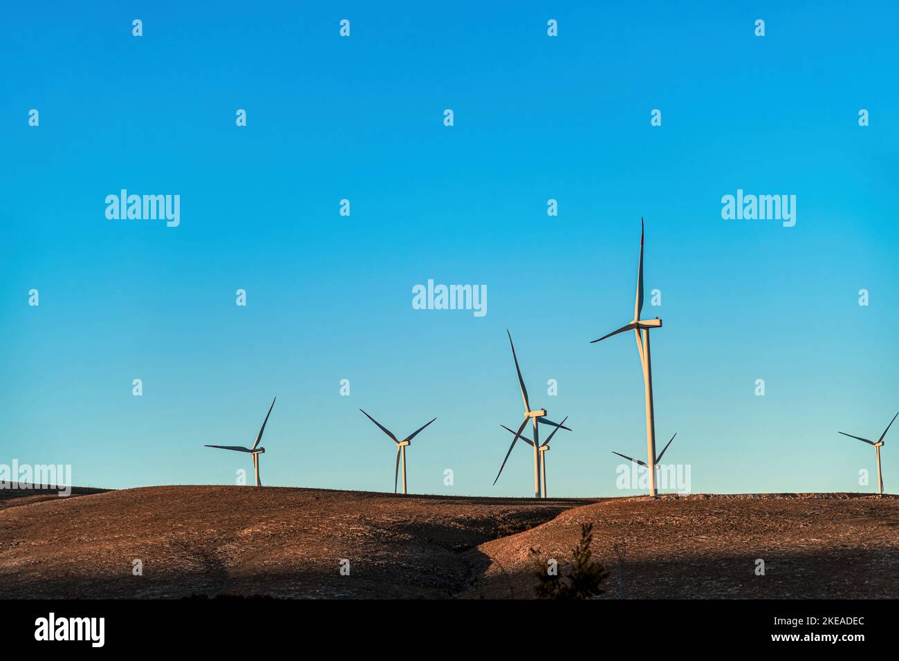 Multiple wind turbines standing on a hill at sunrise and generating ...
