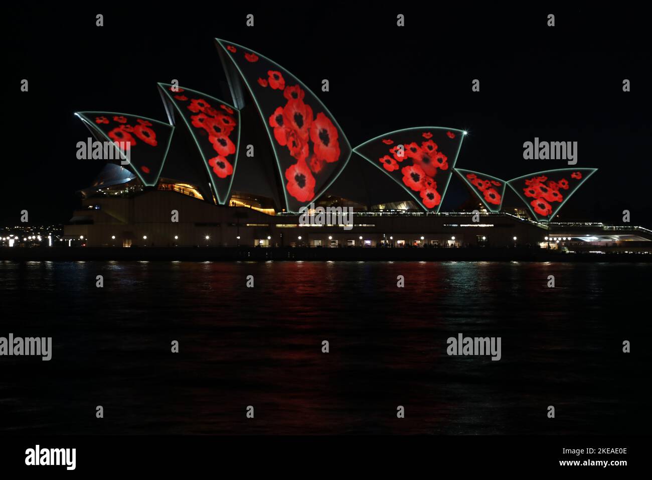 Sydney opera house poppies hi-res stock photography and images - Alamy