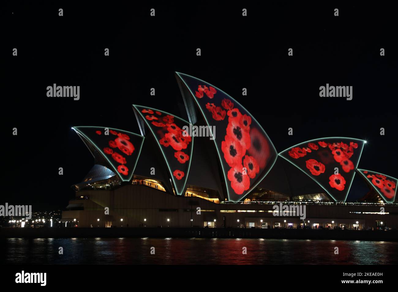 Sydney opera house poppies hi-res stock photography and images - Alamy