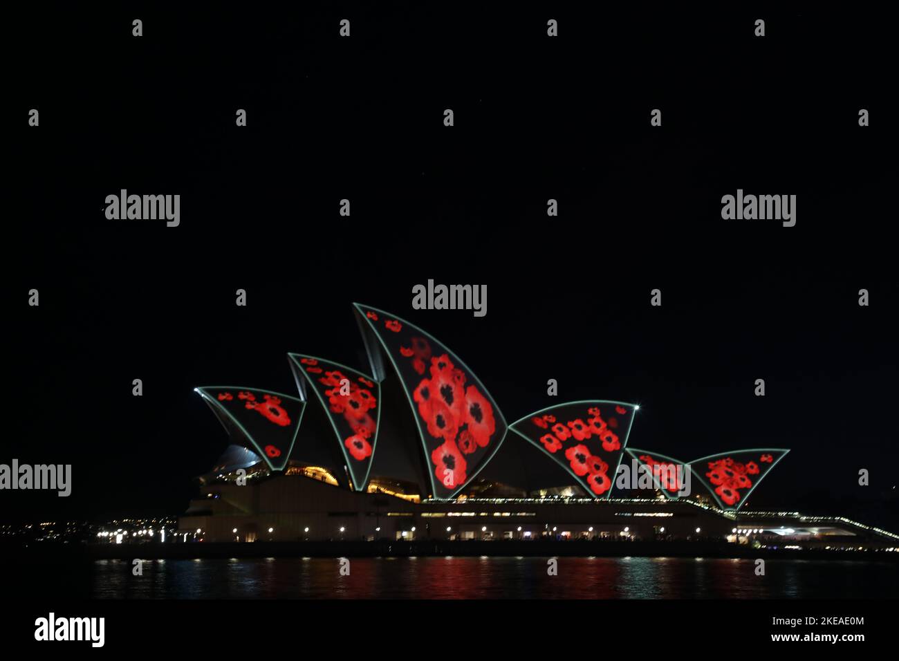 Sydney opera house poppies hi-res stock photography and images - Alamy