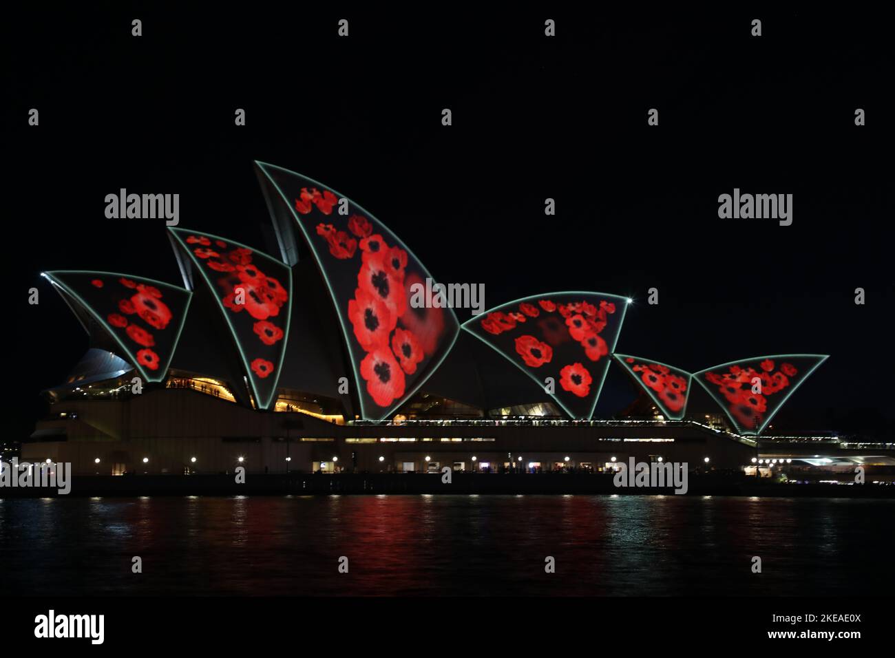 Sydney opera house poppies hi-res stock photography and images - Alamy