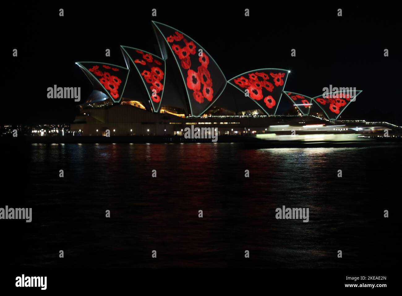 Sydney opera house poppies hi-res stock photography and images - Alamy