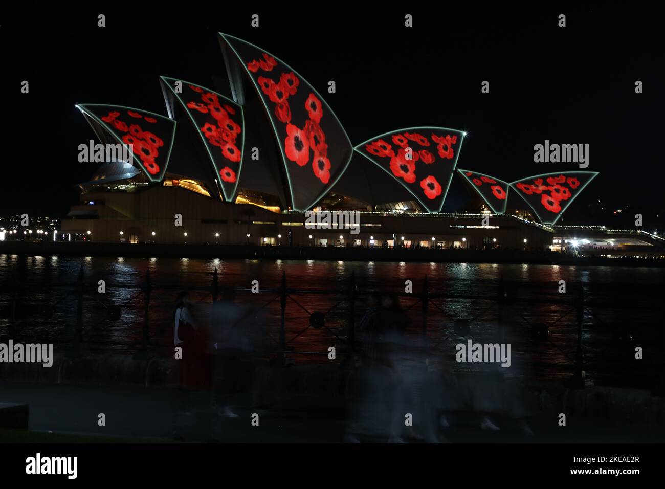 Sydney opera house poppies hi-res stock photography and images - Alamy