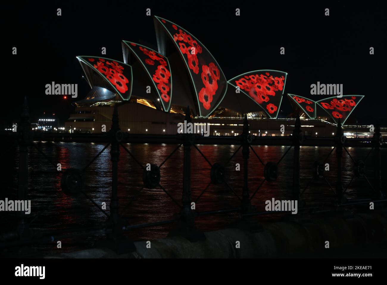 Sydney opera house poppies hi-res stock photography and images - Alamy