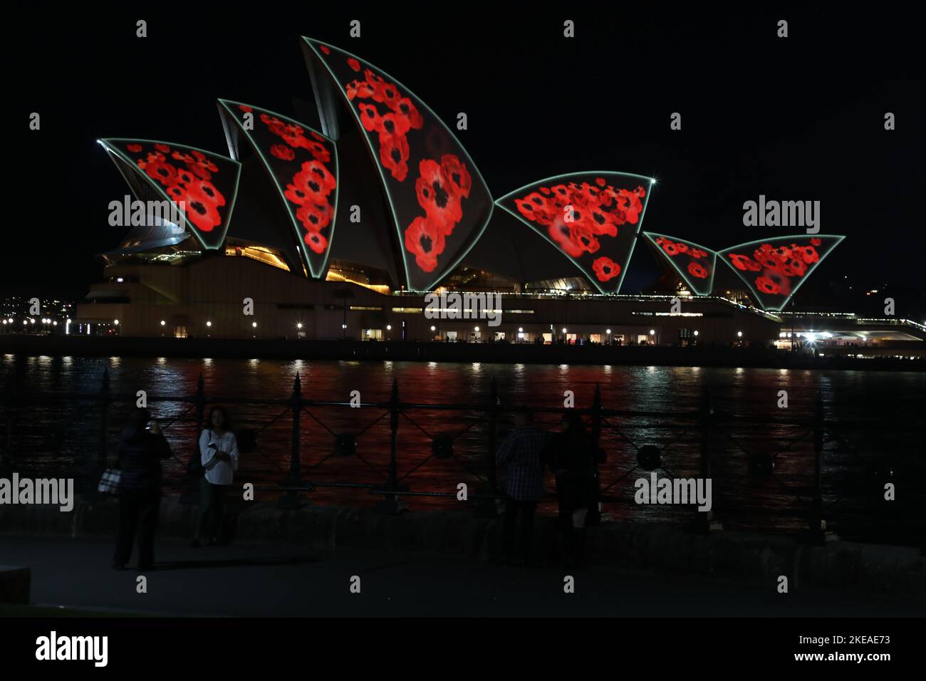 Sydney opera house poppies hi-res stock photography and images - Alamy