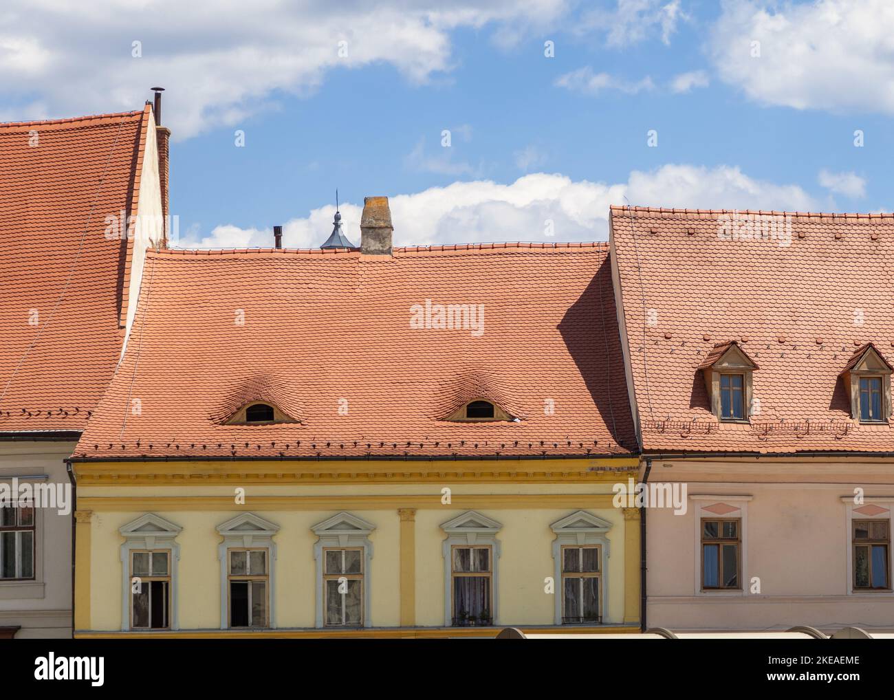 In 2017, protestors against corruption adopted Sibiu eyes as their logo ...