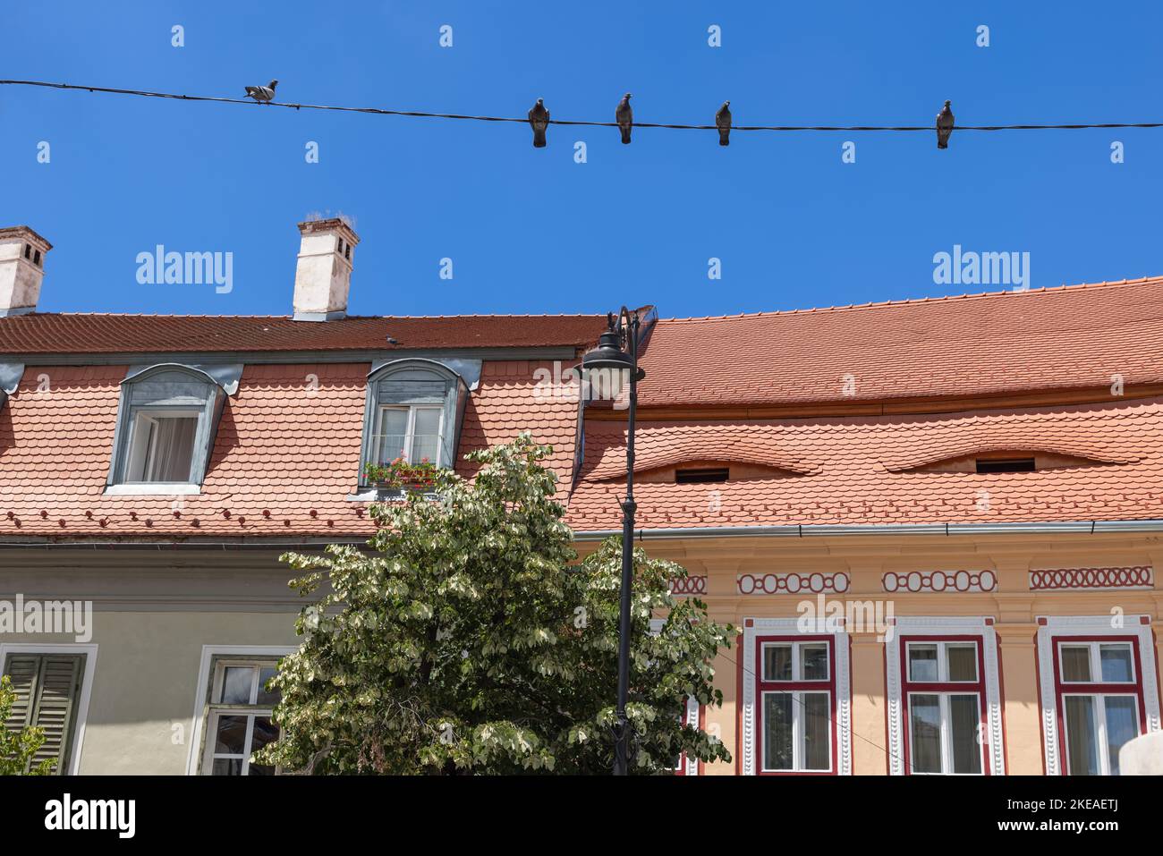 Famous Eyes of Sibiu (Ochii Sibiului) are iconic eyebrow dormers on the ...