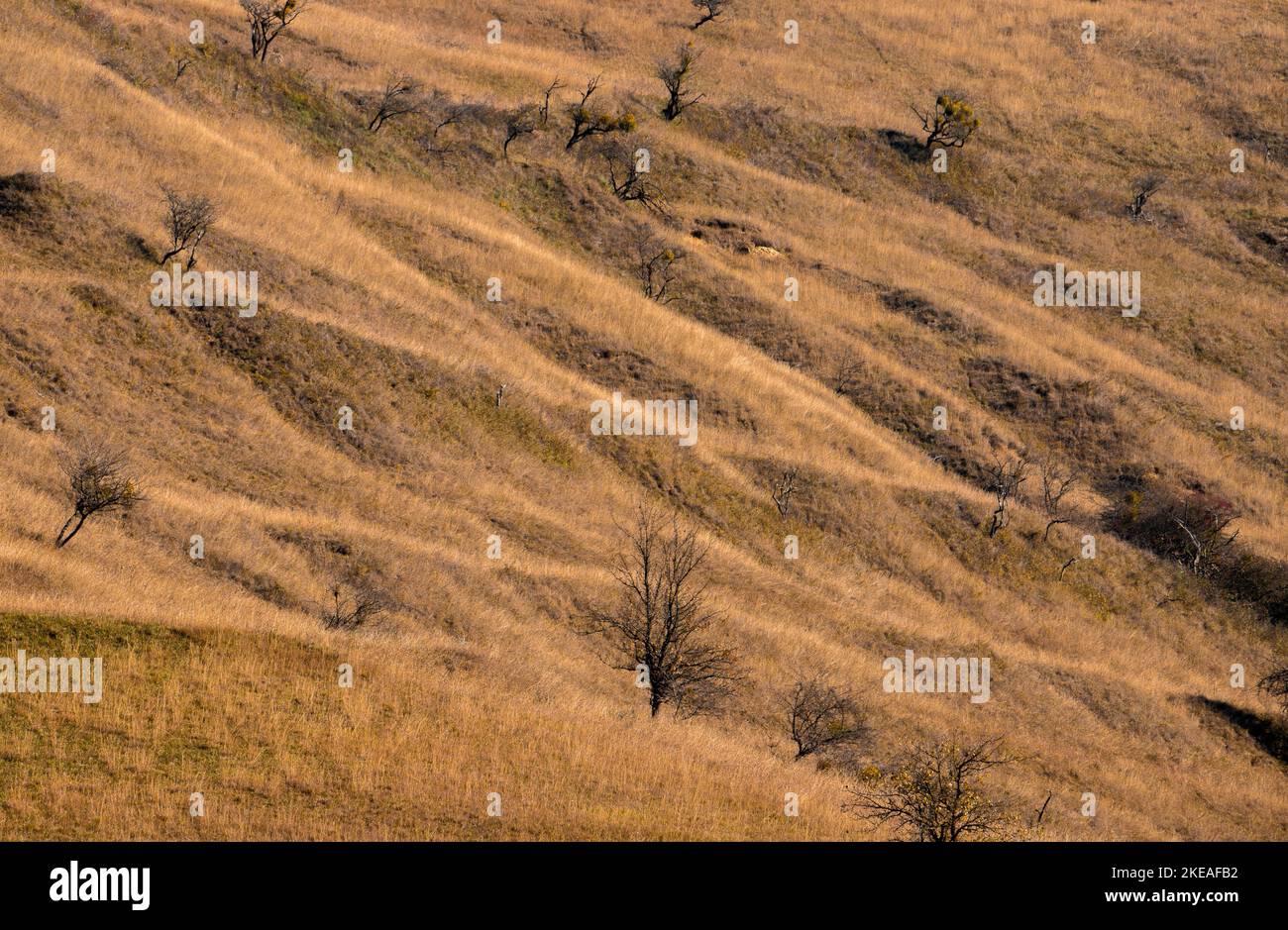 A hill slope with dry grass, dryness Stock Photo - Alamy